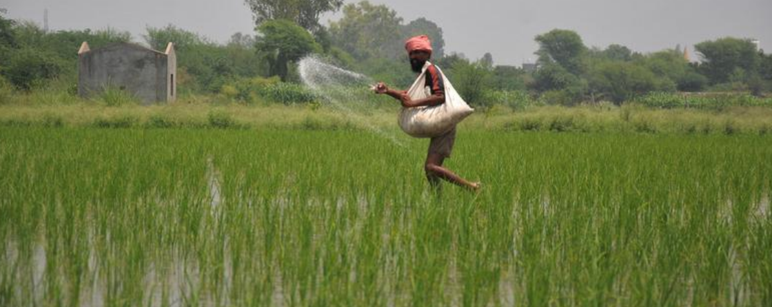 Organisation Through Neglect: Understanding Field Administration in ...